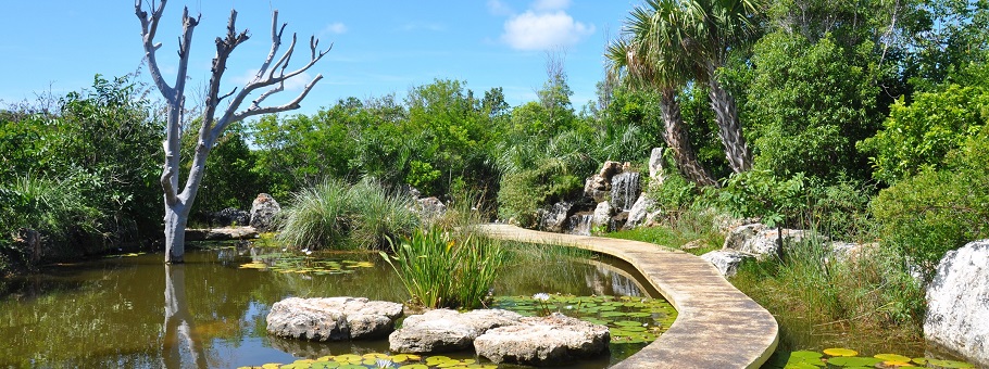 Leon Levy 2023 Grant Recipients Announced! | Botanic Gardens ... Leon Levy 2023 Grant Recipients Announced! | Botanic Gardens ...