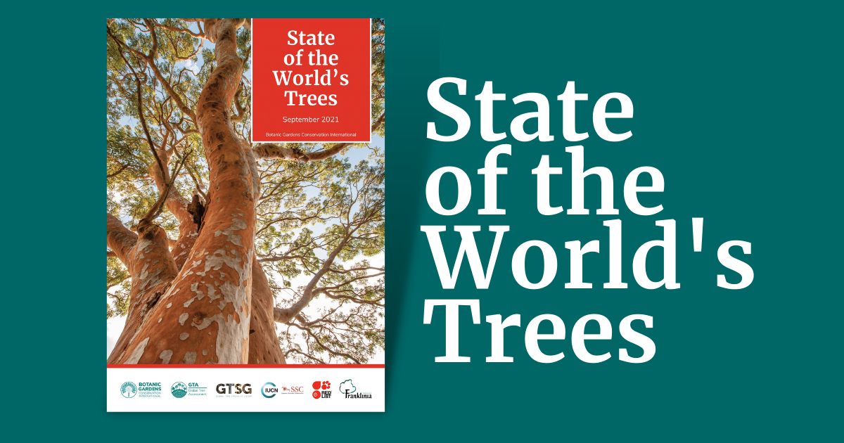 Global Tree Assessment | Botanic Gardens Conservation International