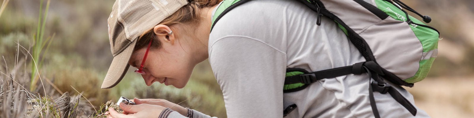 Native Plant Trust Launches Additional Online Courses | Botanic Gardens ...