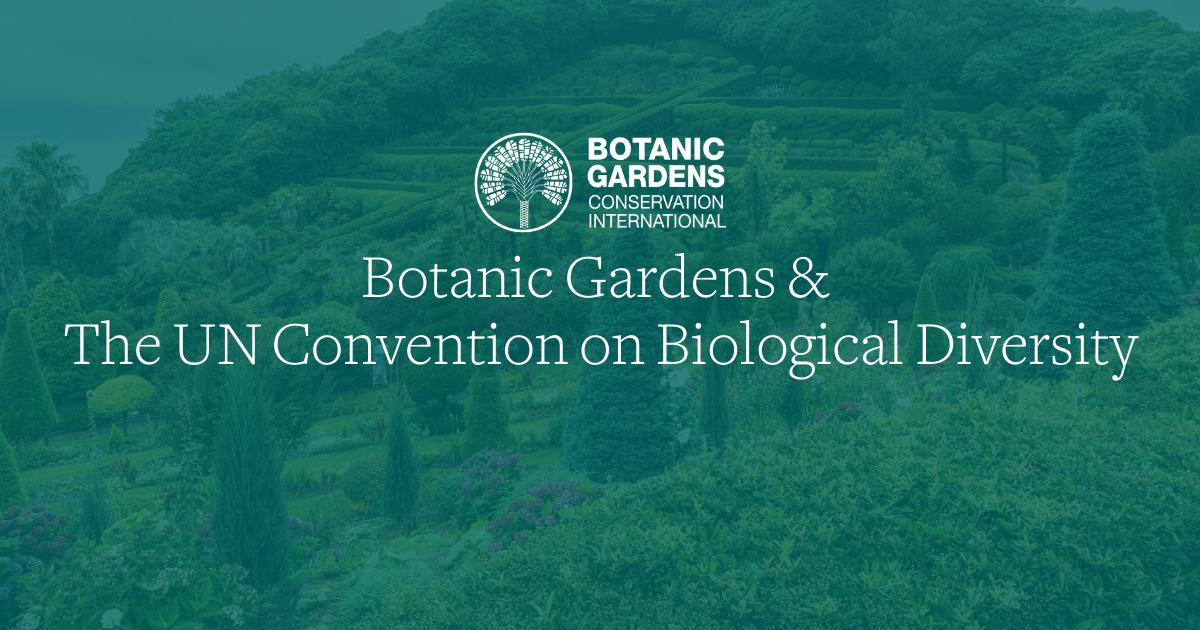 Convention on Biological Diversity | Botanic Gardens Conservation ...