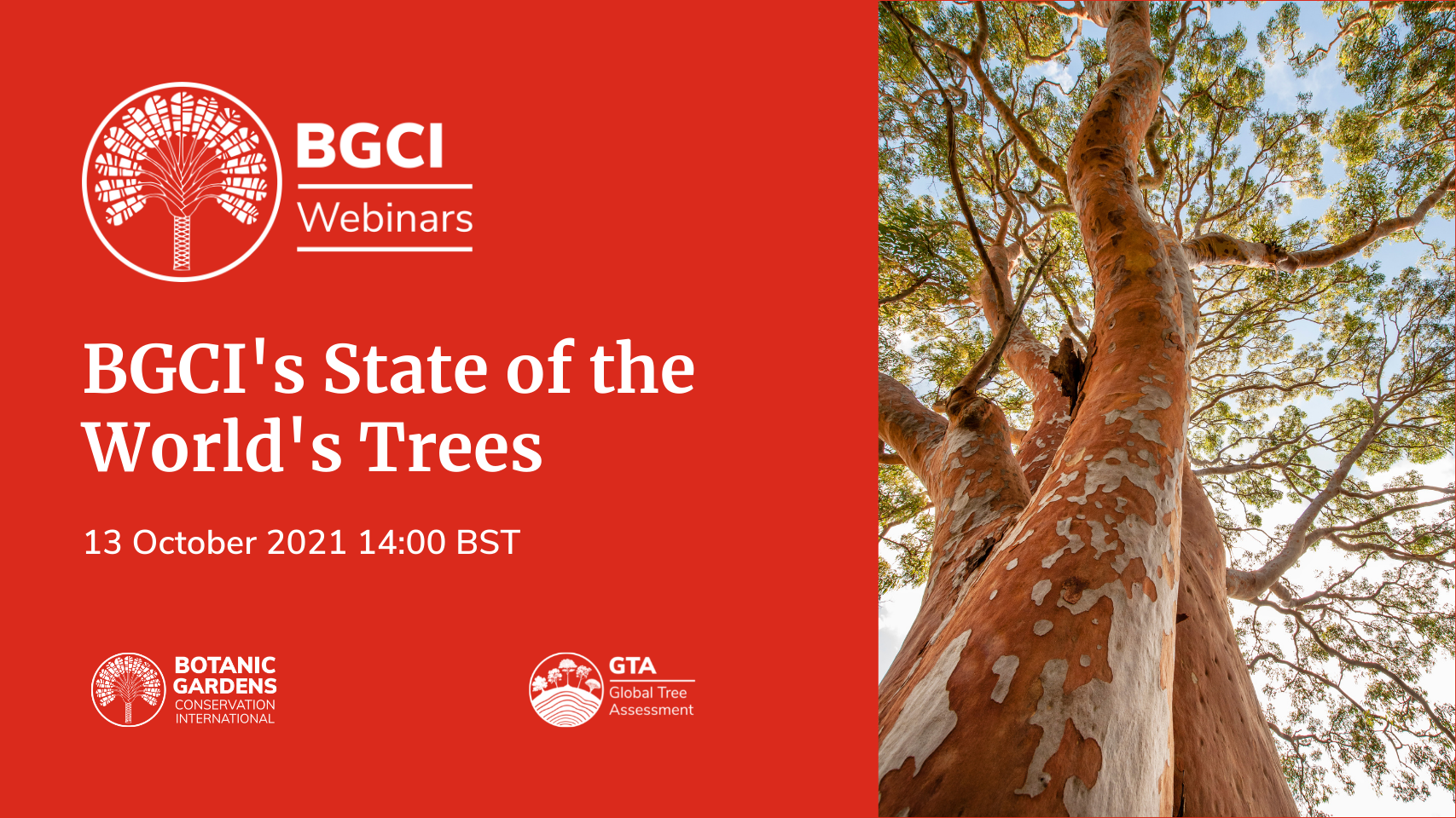BGCI Webinar Series: State of the World's Trees - What is Next ...