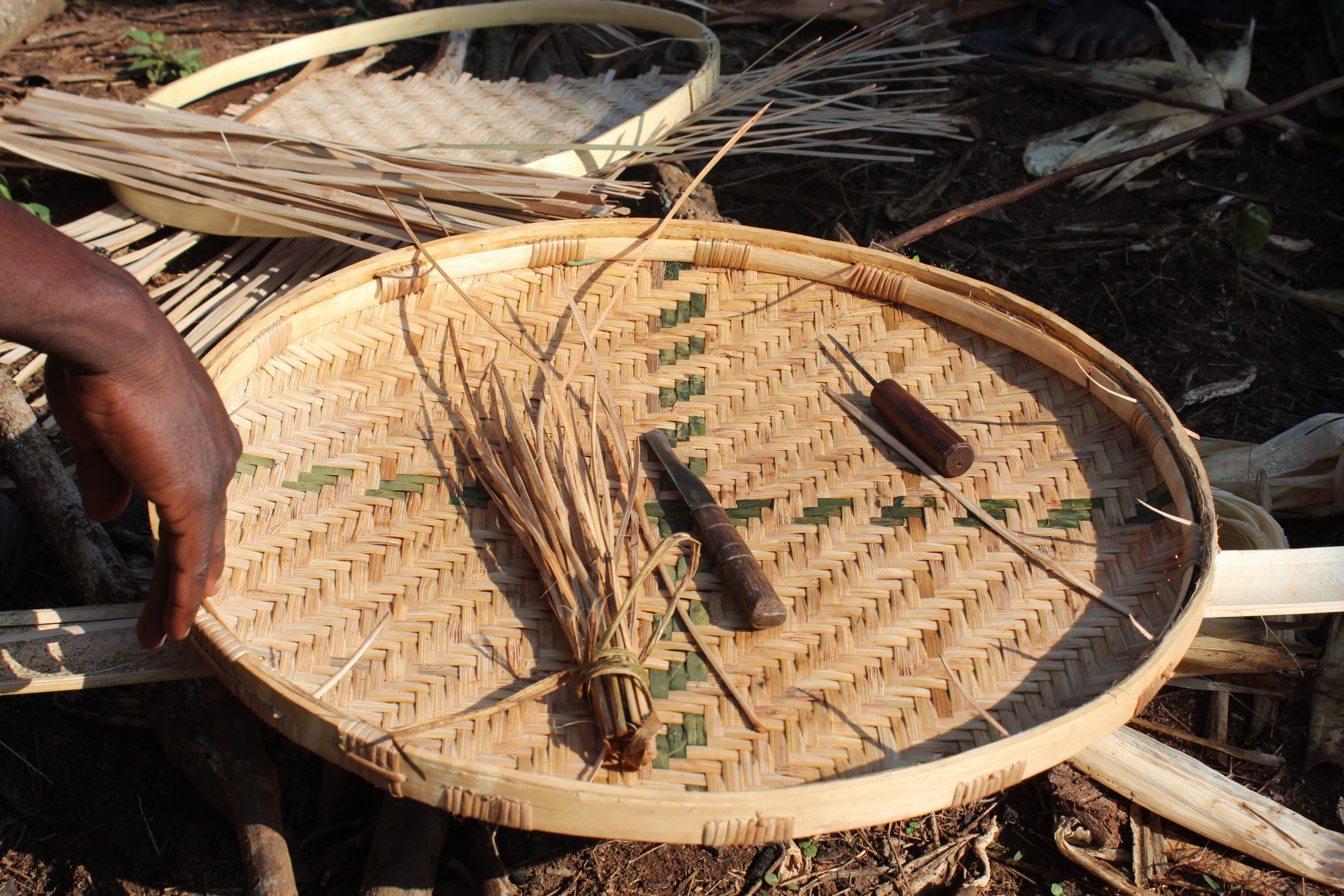 Botanic Garden Collections - An Underutilised Resource | Botanic ...