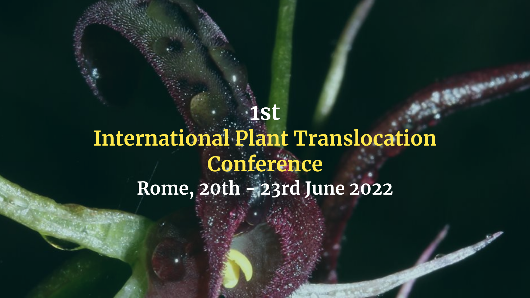 1st International Plant Translocation Conference | Botanic Gardens ...