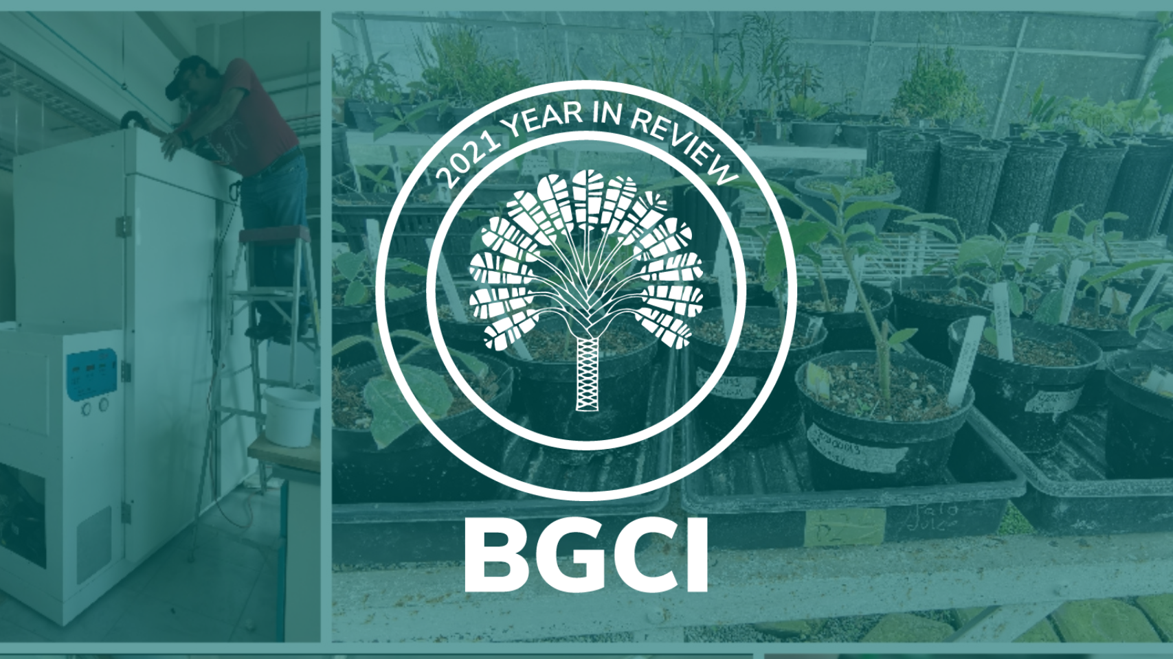 COVID-19 Support Grants | Botanic Gardens Conservation International
