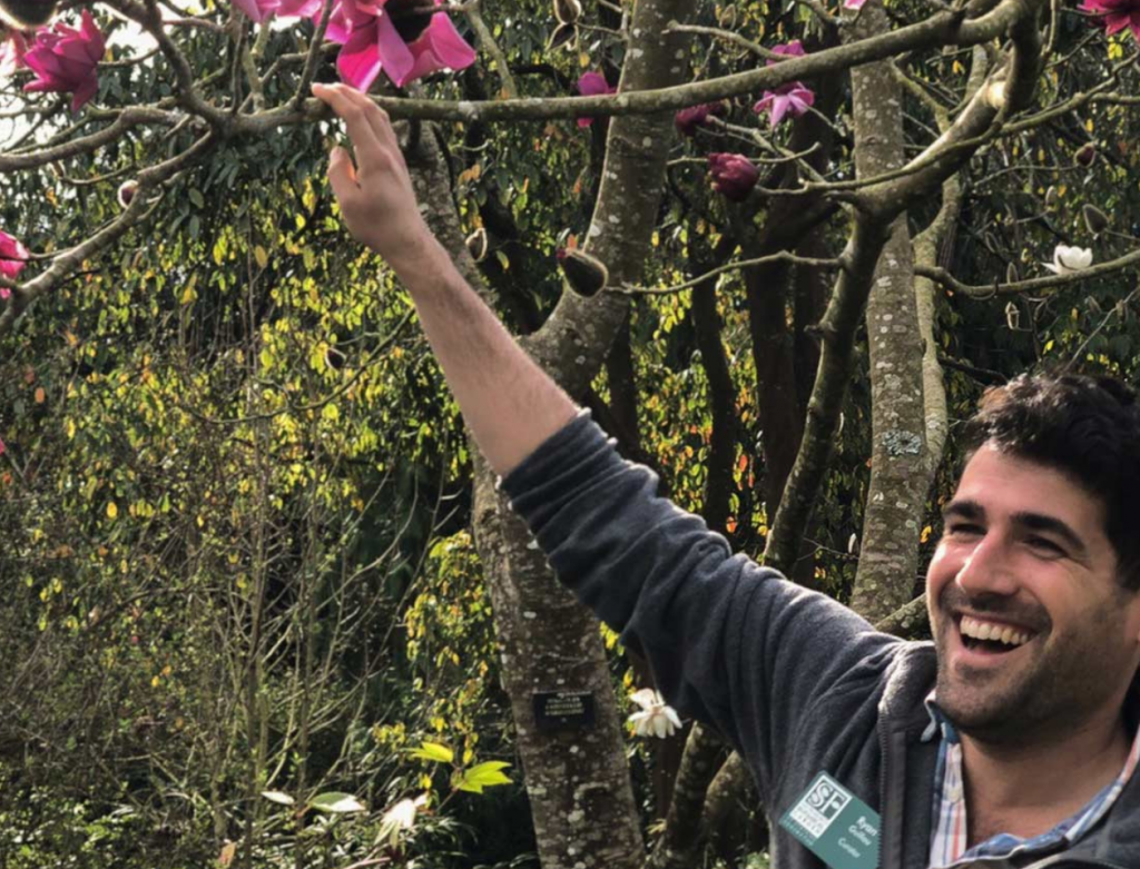 Conserving Rare Magnolias Through Grafting with San Francisco Botanic ...