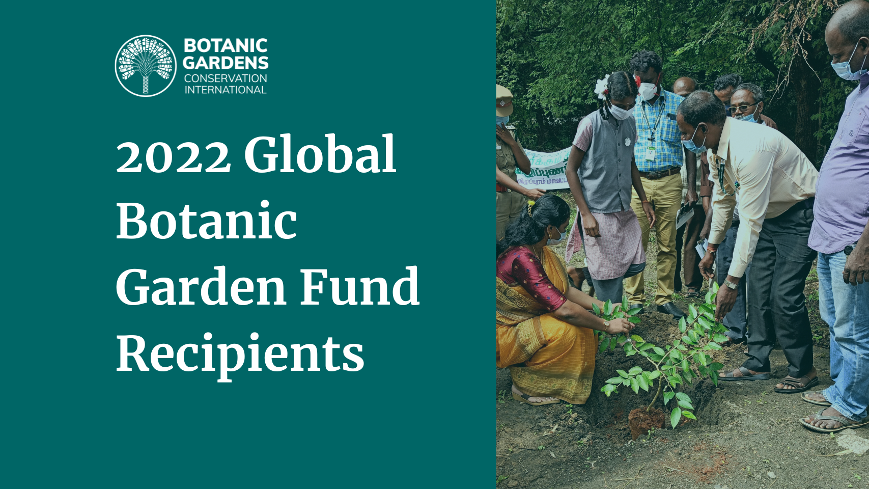 BGCI Announces Global Botanic Garden Fund 2022 Recipients | Botanic ...
