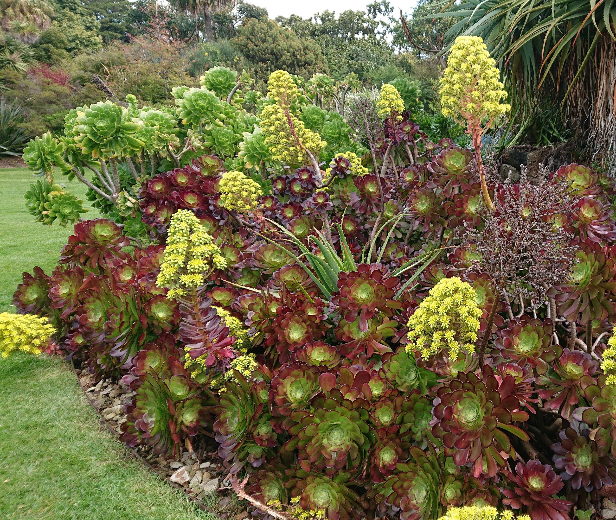 BGCI Hosted Data Tools | Botanic Gardens Conservation International