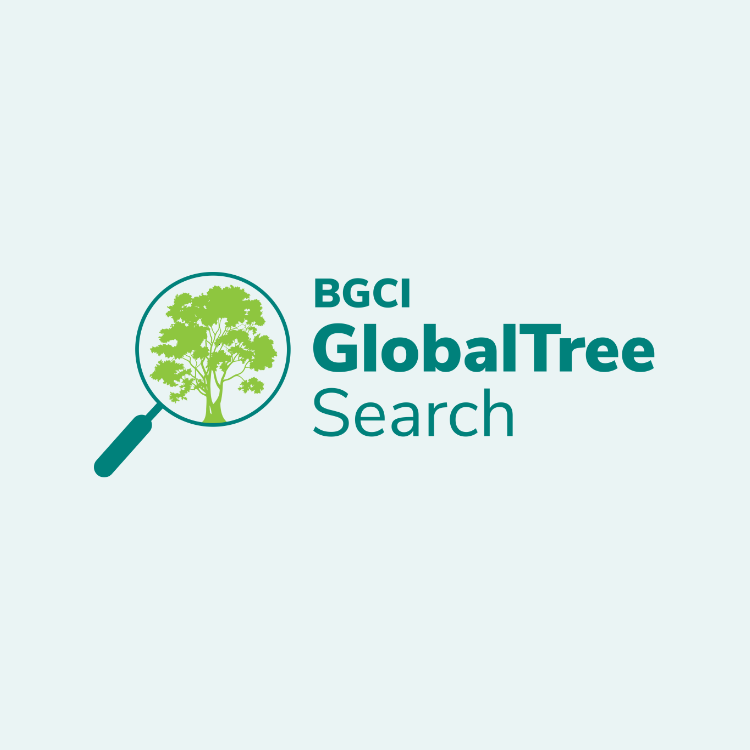 GlobalTreeSearch | Botanic Gardens Conservation International