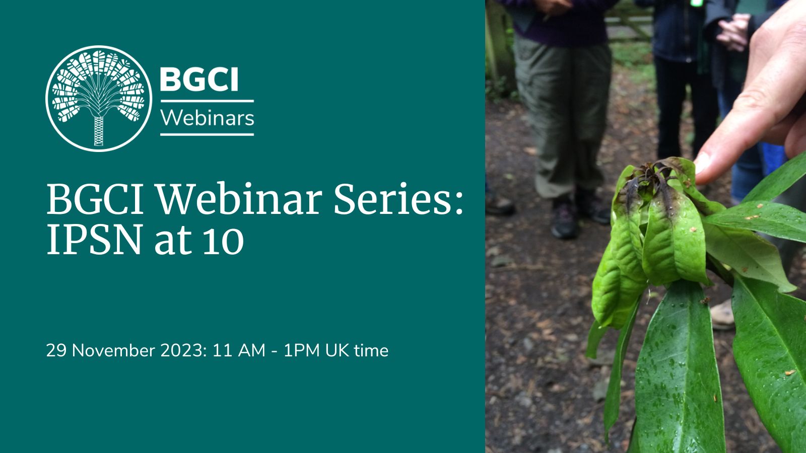 BGCI Webinar Series: IPSN at 10 | Botanic Gardens Conservation ...