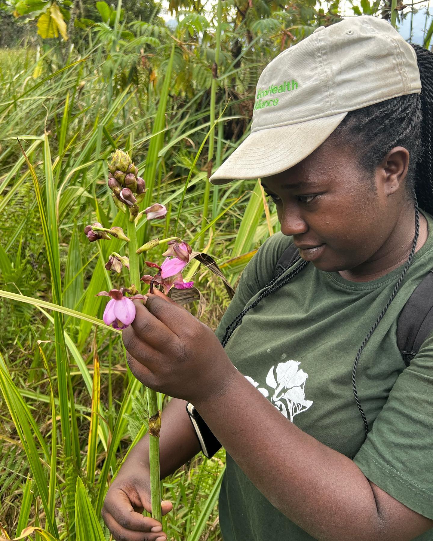 GGI-Gardens: Funds to Preserve Global Plant Biodiversity Awarded to ...