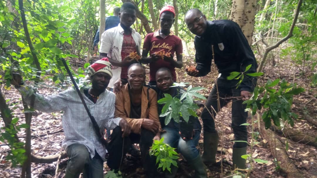 Restoring degraded land of Ewe-Adakplame Relic Forest, Benin | Botanic ...