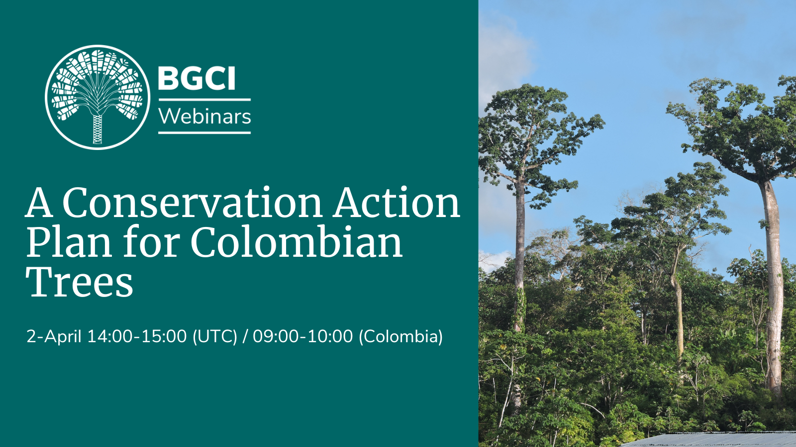 BGCI Webinar: A Conservation Action Plan for Colombian Trees | Botanic ...