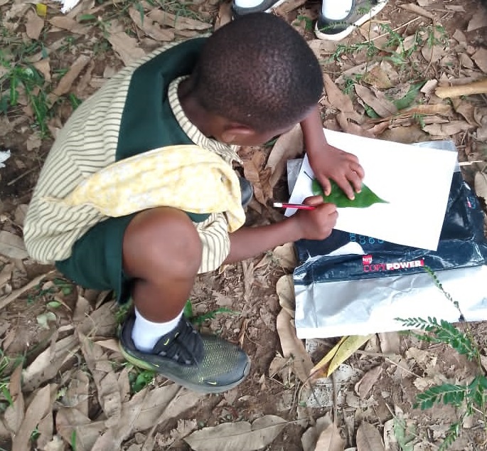 Indigenous knowledge of native tree species in Ghana | Botanic Gardens ...