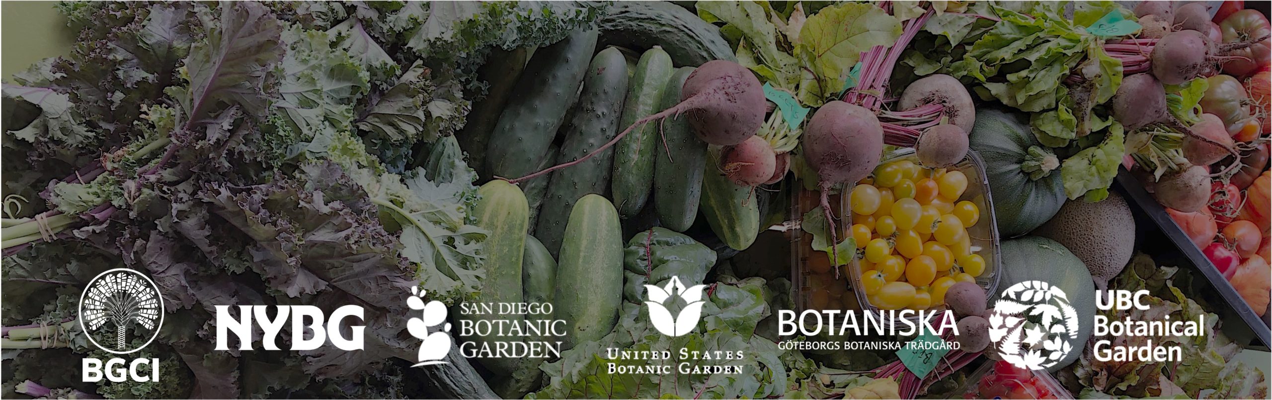 Survey on Food Plant Biodiversity and Botanic Gardens | Botanic Gardens ...