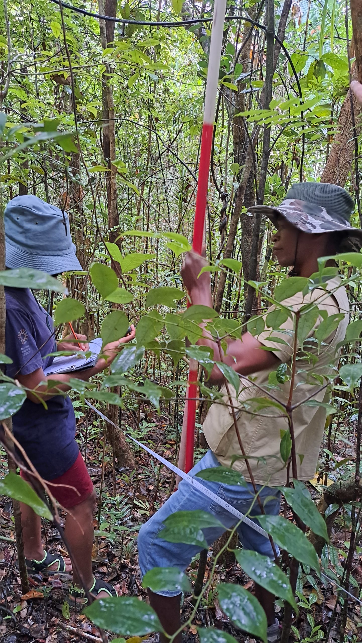 Watch it again! Advancing biodiversity outcomes: Unveiling The Global Biodiversity Standard ...
