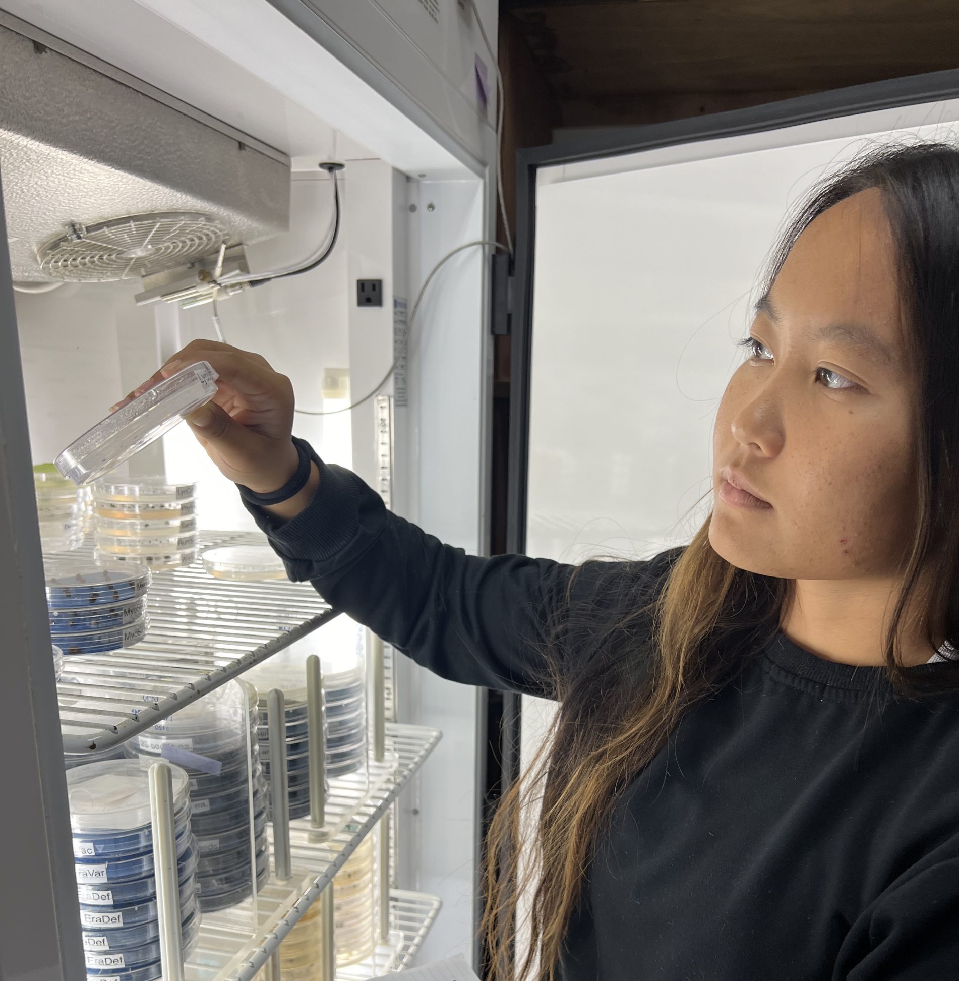 Three Scholars Awarded the Keller Conservation Horticulture Scholarship ...