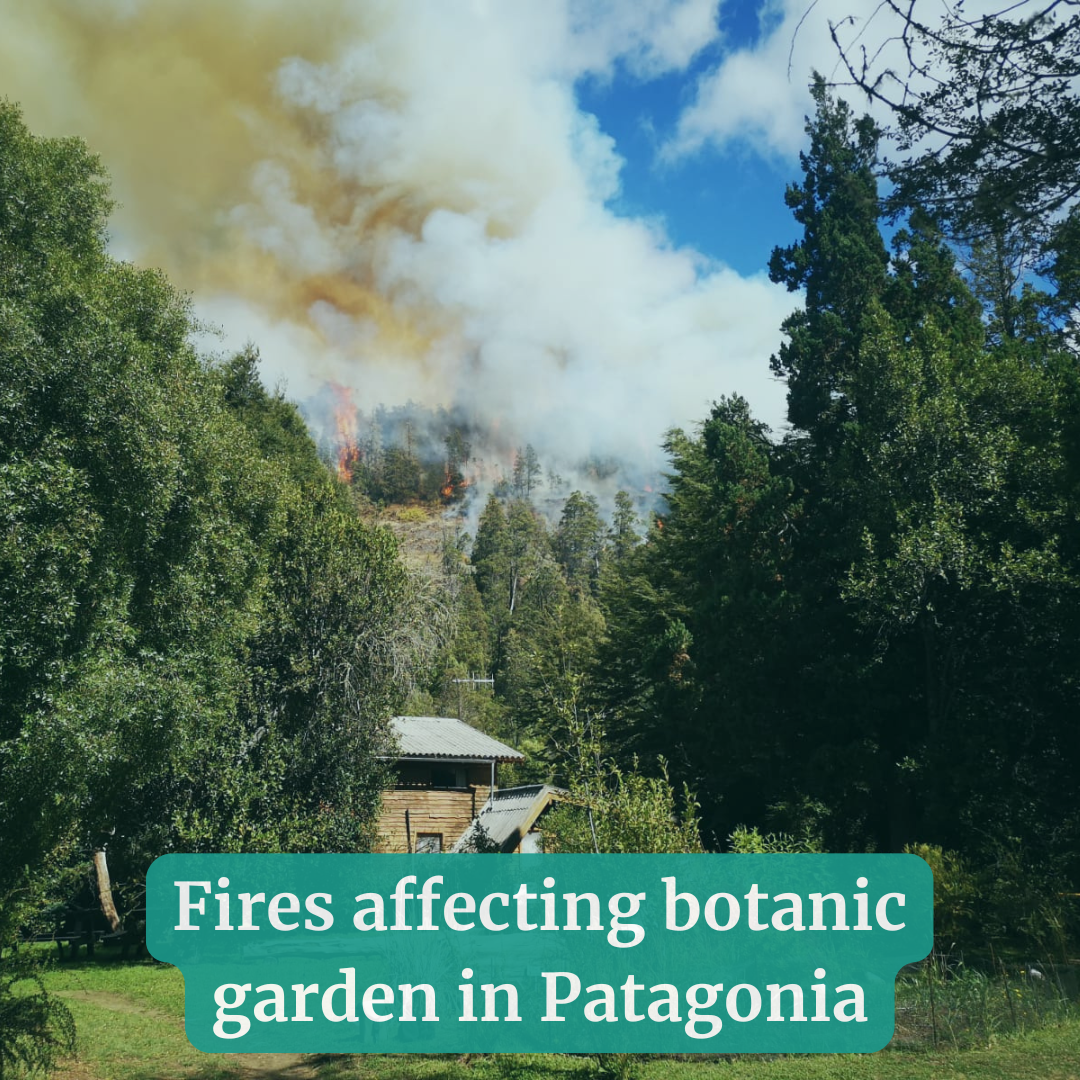Cascada Escondida Botanic Garden affected by fires | Botanic Gardens ...