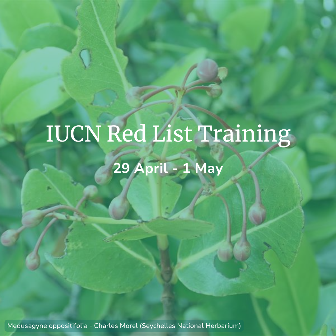 IUCN Red List Training with BGCI and the Global Tree Assessment team ...
