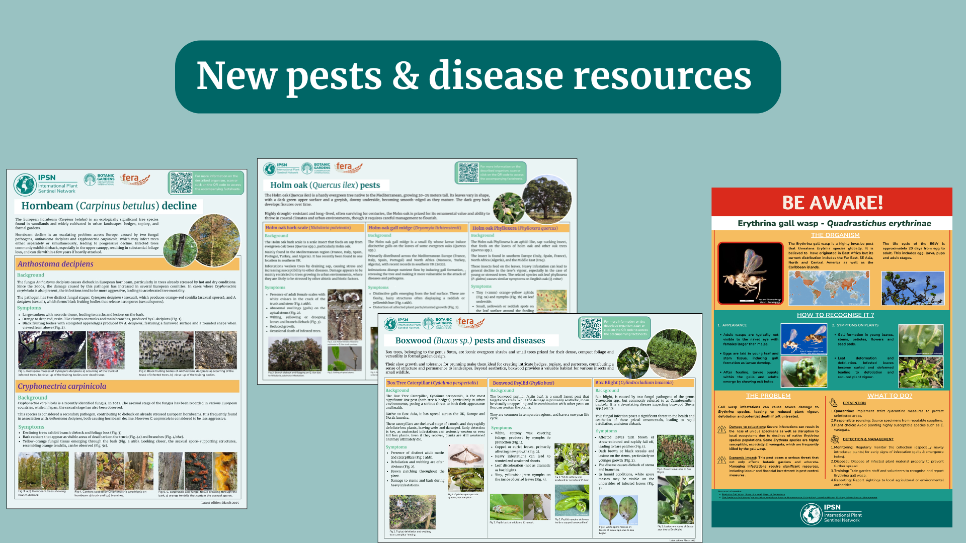 New IPSN Resources Available Now! | Botanic Gardens Conservation ...