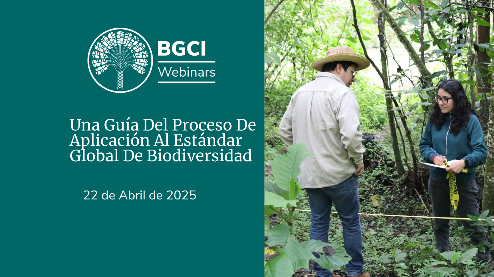 BGCI Webinar Mirar De Nuevo: Una Guía Del Proceso De Aplicación Al ...