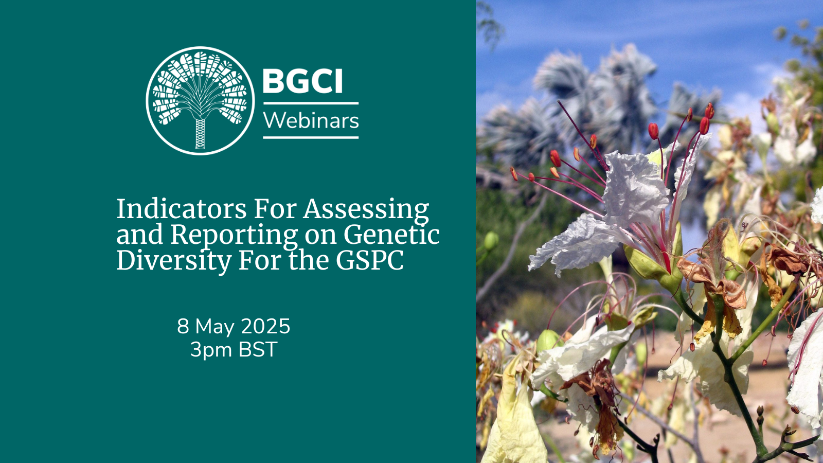 BGCI Webinars: Indicators For Assessing and Reporting on Genetic ...