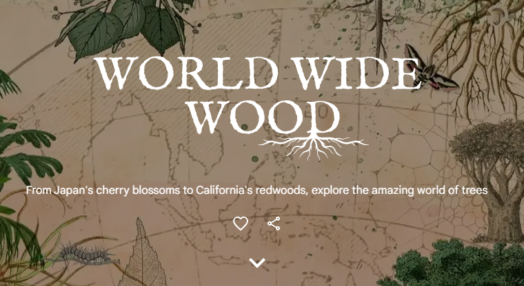 Explore the amazing world of trees with World Wide Wood | Botanic ...
