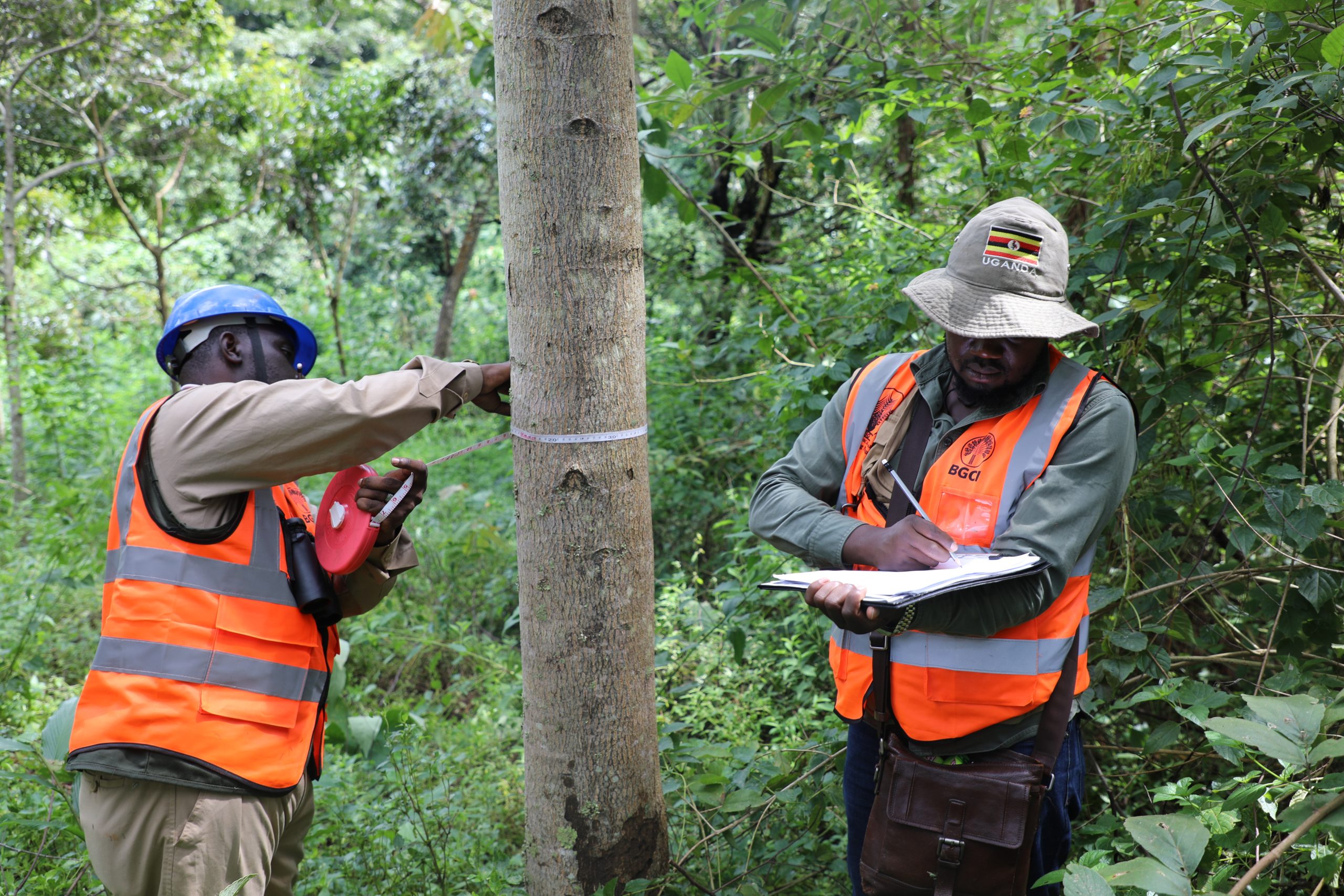 Bezos Earth Fund’s AI Grand Challenge for Climate and Nature | Botanic ...
