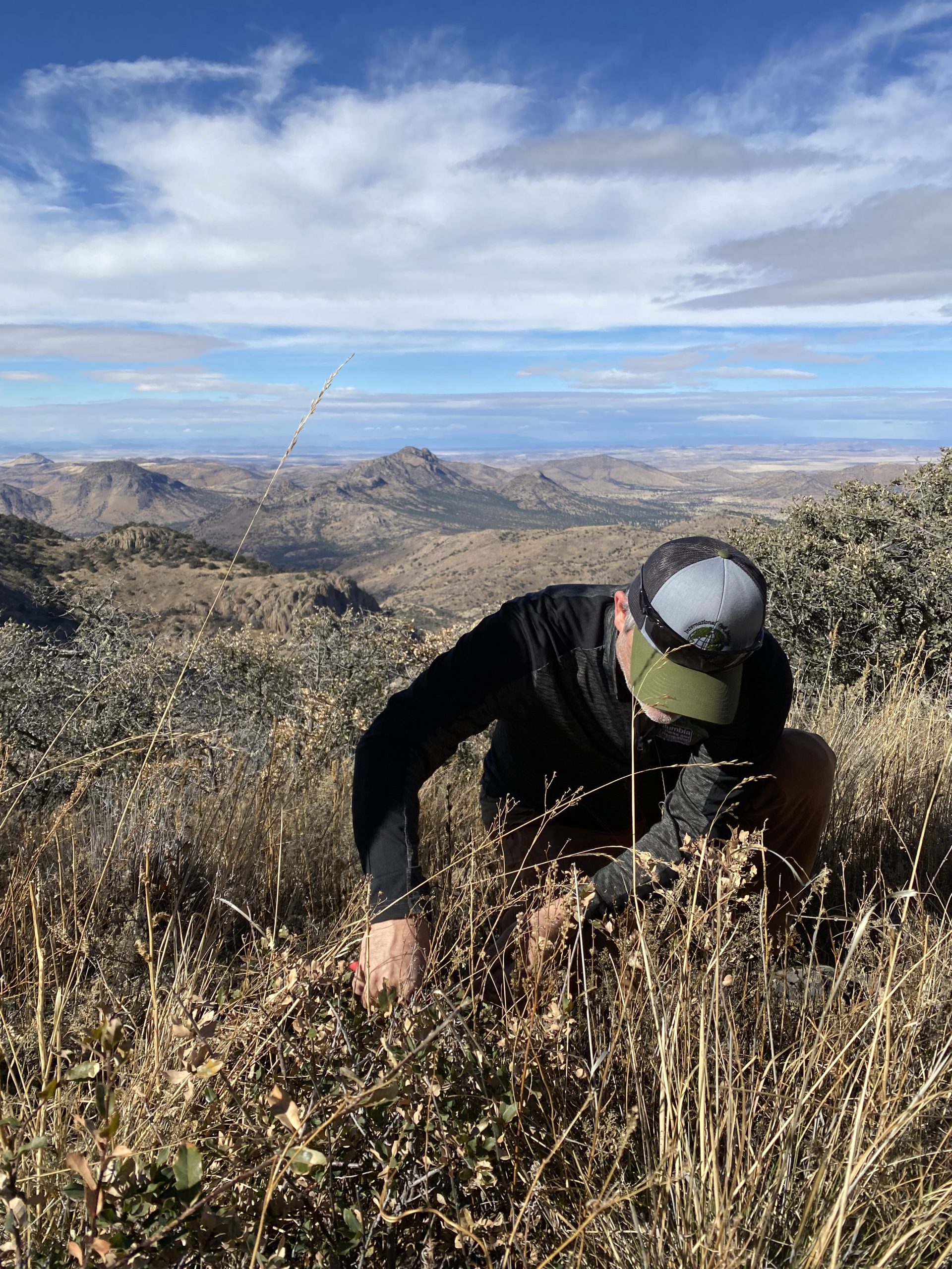Priority US Trees Conservation Awards | Botanic Gardens Conservation ...